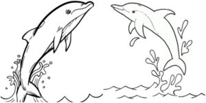 BOTO PARA COLORIR: +30 Modelos Lindos para Imprimir!